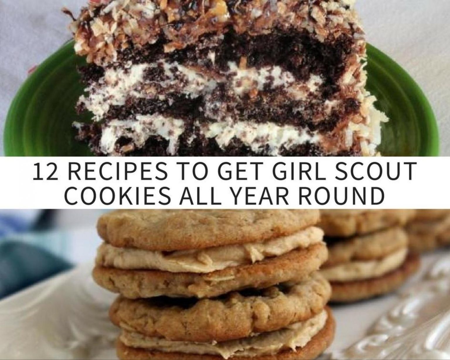 12 Recipes To Get Girl Scout Cookies All Year Round - Just A Pinch