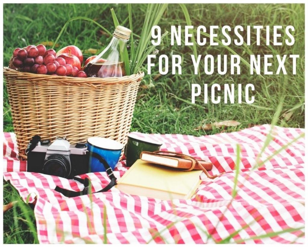 9 Necessities for Your Next Picnic - Just A Pinch