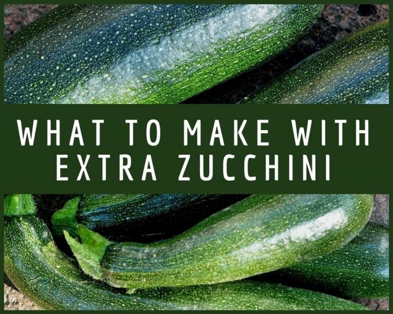 What to Make With Extra Zucchini - Just A Pinch
