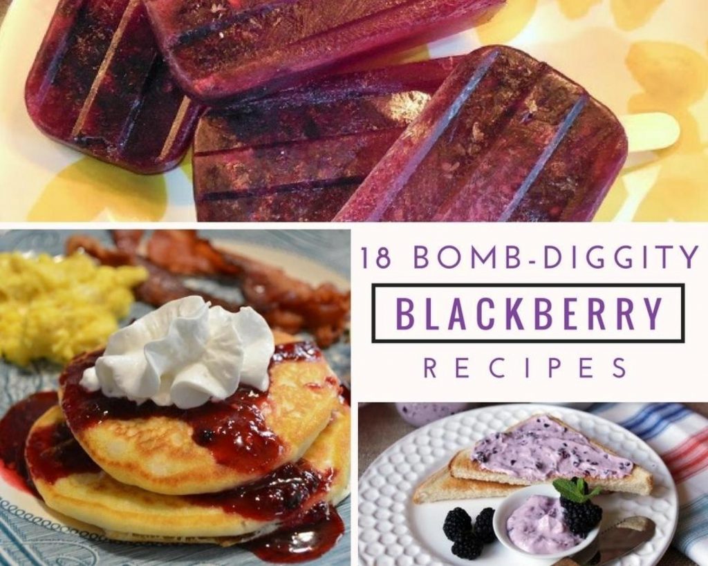 18 Bomb-Diggity Blackberry Recipes - Just A Pinch