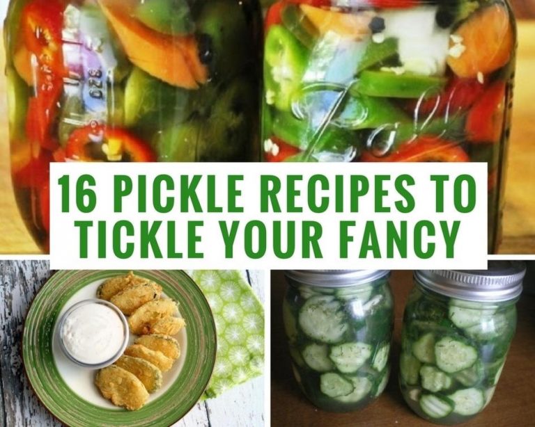 16 Pickle Recipes to Tickle Your Fancy - Just A Pinch