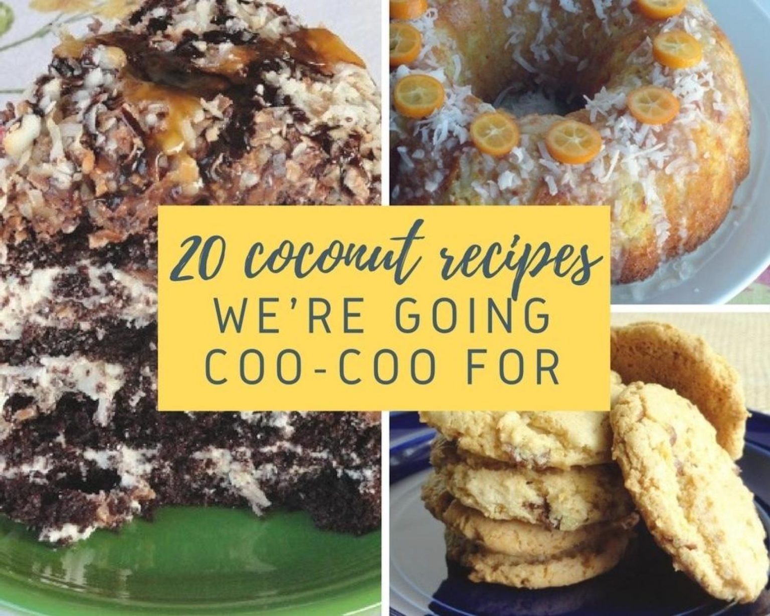 20 Coconut Recipes We’re Going Coo-Coo For - Just A Pinch
