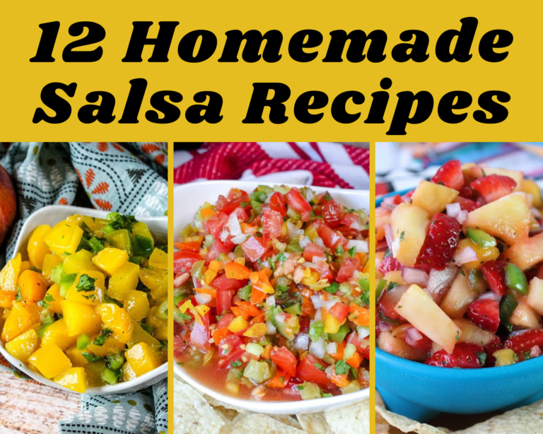 12 Homemade Salsa Recipes - Just A Pinch Recipes