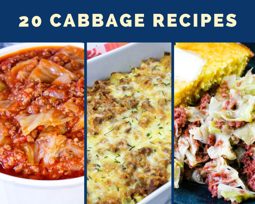 20 Cabbage Recipes - Just A Pinch