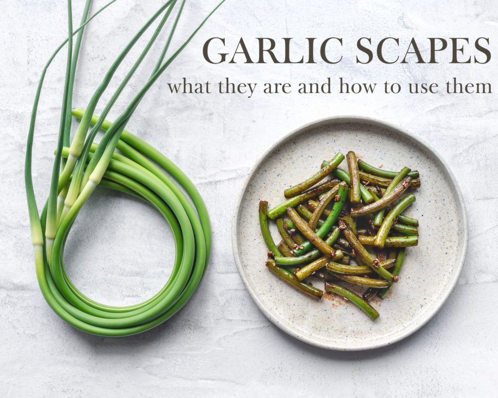 Garlic Scapes: What They Are and How to Use Them - Just A Pinch