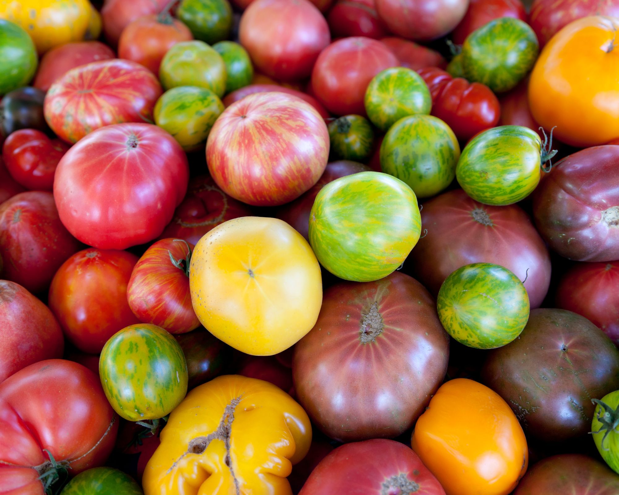 July Produce Guide: Savoring Summer’s Bounty - Just A Pinch