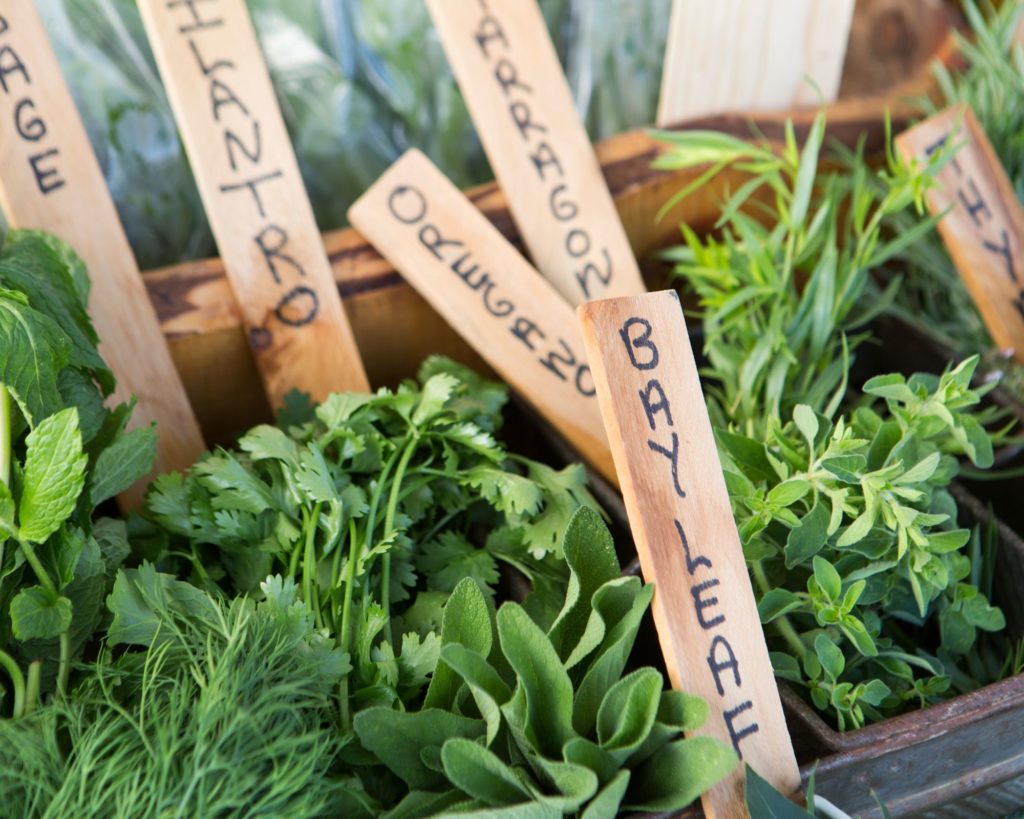 July Produce Guide: Savoring Summer’s Bounty - Just A Pinch